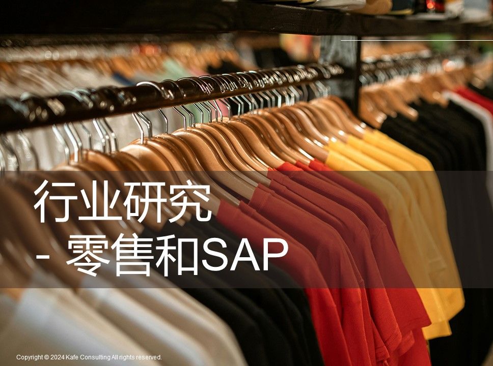 行业研究: 零售和SAP