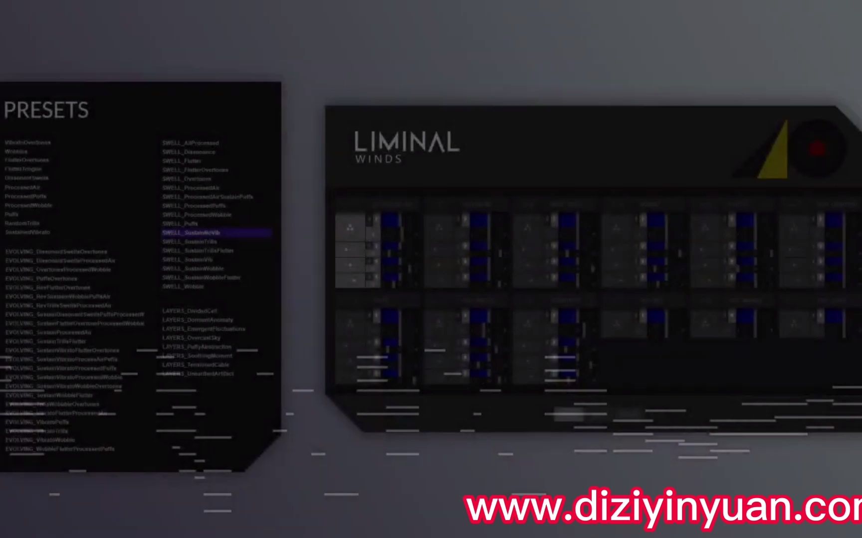 Crocus Soundware LIMINAL Winds KONTAKT的使用教程