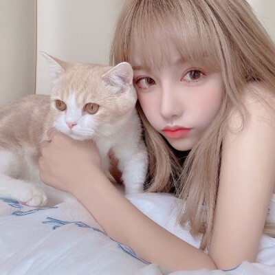 伏尾窗的猫咪Q 