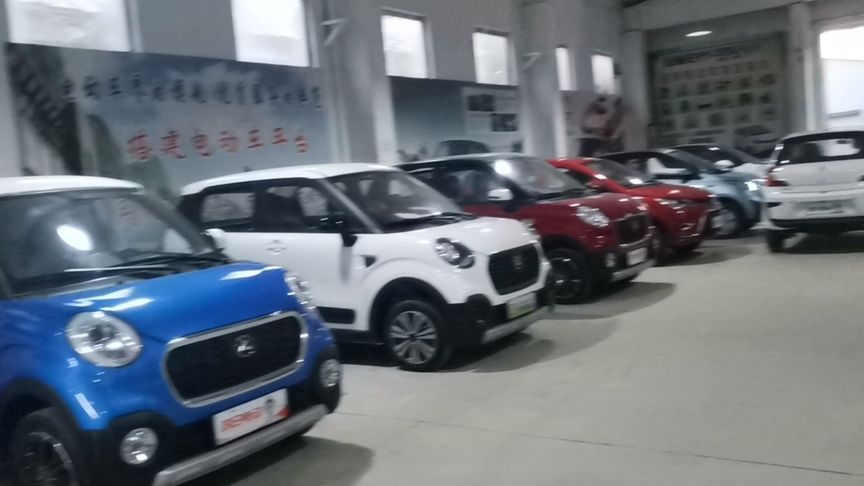 雷丁,鸿日,宝路达电动汽车
