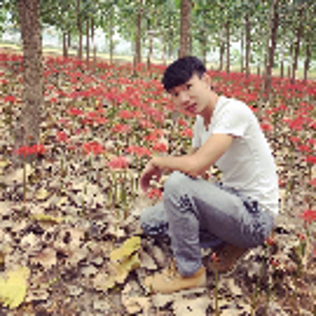 会跳舞的强娃子