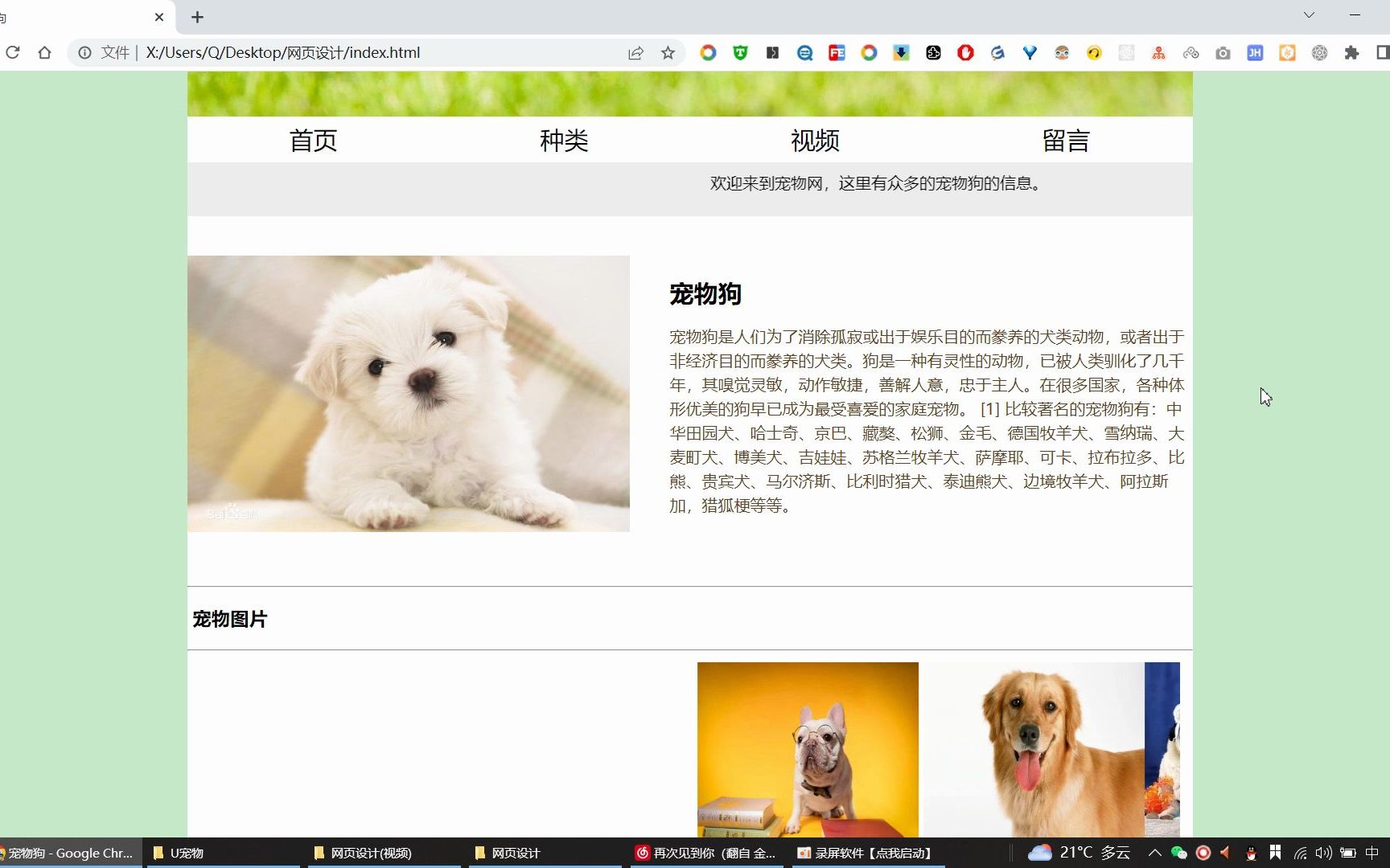 大学生网页设计大作业 HTML+CSS 宠物狗网页设计与实现 4页 学生...