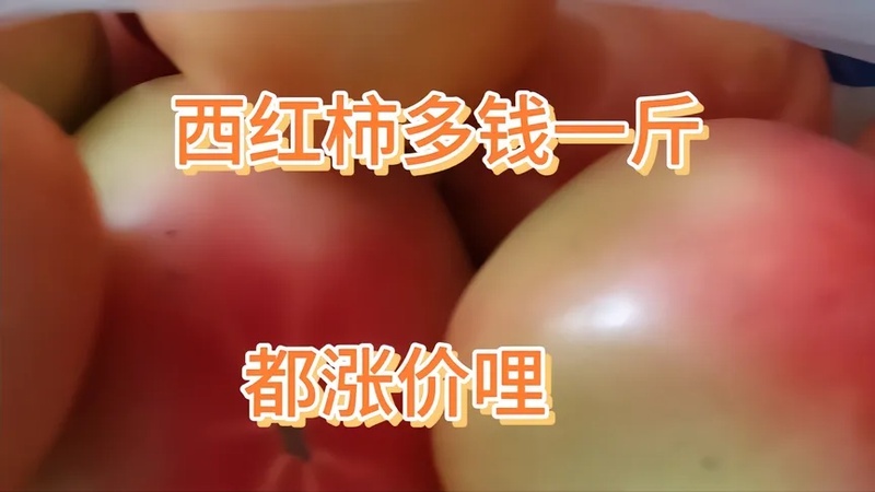 看看郑密路淮河路囗卖的西红柿多钱一斤啥菜都涨价哩