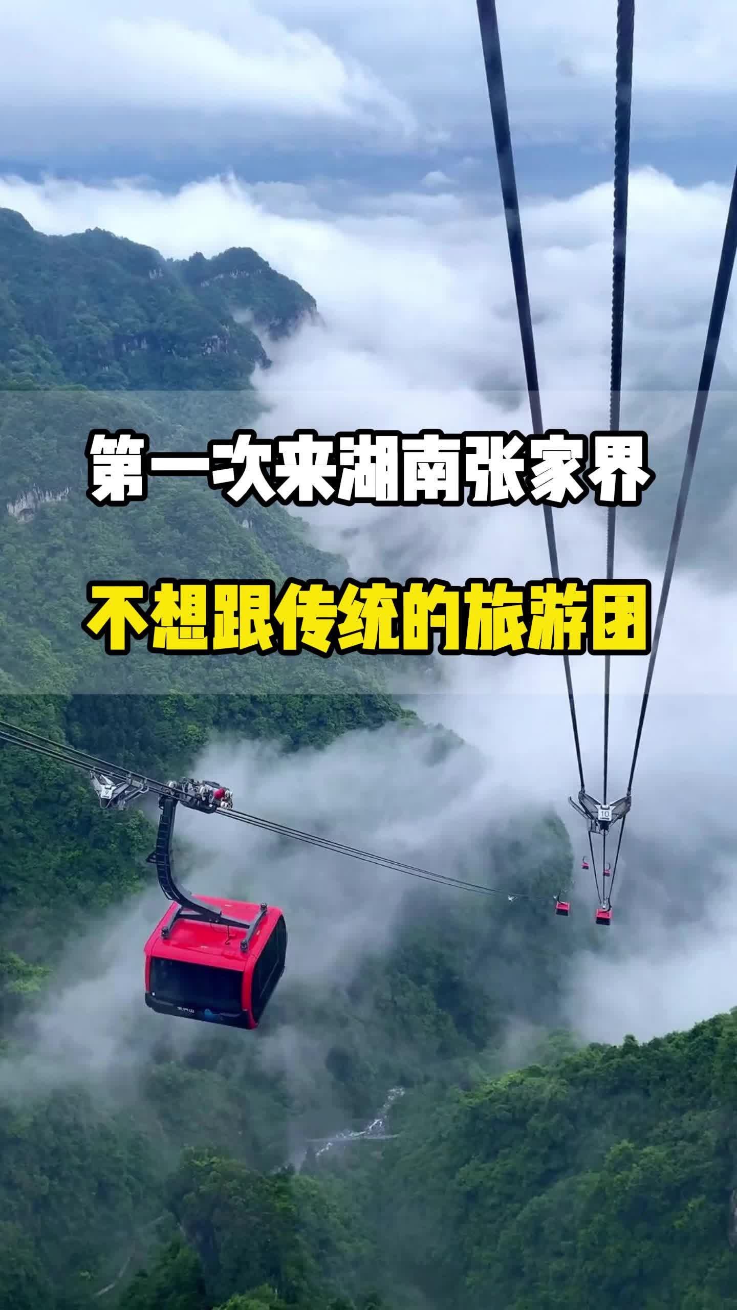 第一次来湖南张家界!不要跟传统旅游团哦!