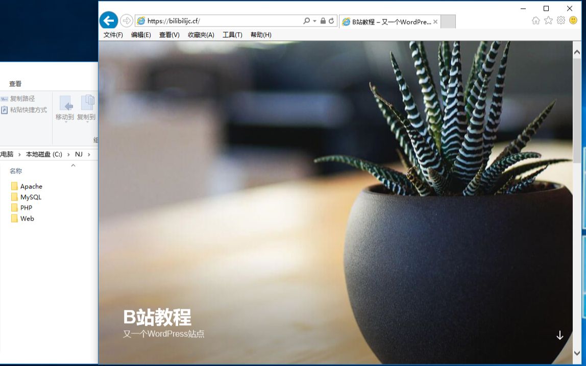 Windows平台下使用Apache+PHP+MySQL+WordPress搭建个人网站,...