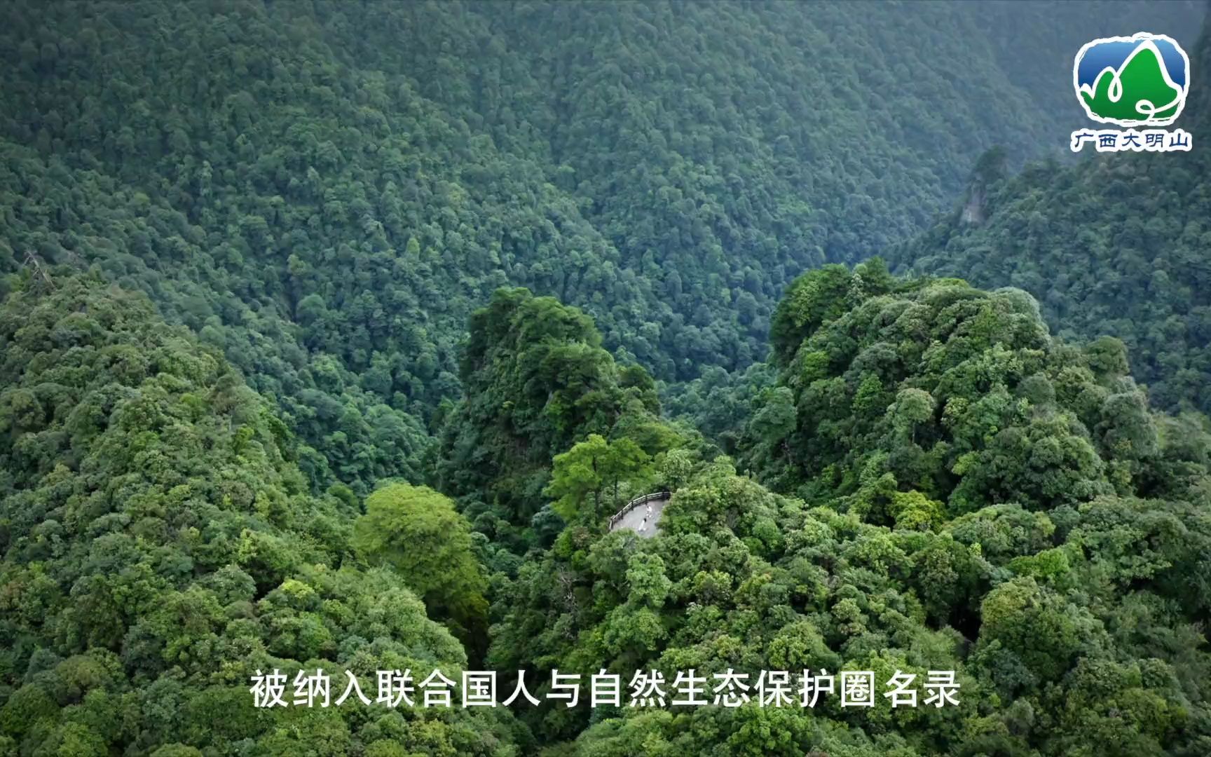 《生态秘境》广西大明山国家级自然保护区生物多样性宣传片