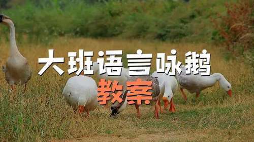 大班语言课《咏鹅》教案:让孩子爱上古诗的趣味教学法