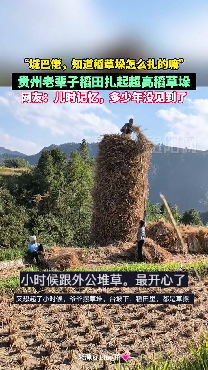 “城巴佬,知道稻草垛怎么扎的嘛”,贵州老辈子稻田扎起超高稻草垛。
