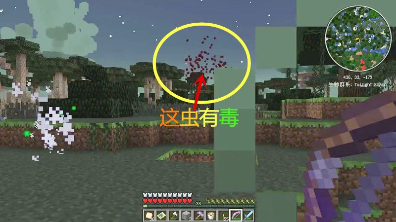 我的世界:真悲催,越级找九头蛇结果着火了,回头又遇毒蚊子!