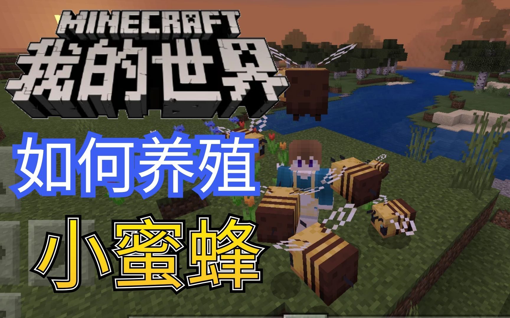 我的世界蜜蜂来袭:如何养小蜜蜂简单教程