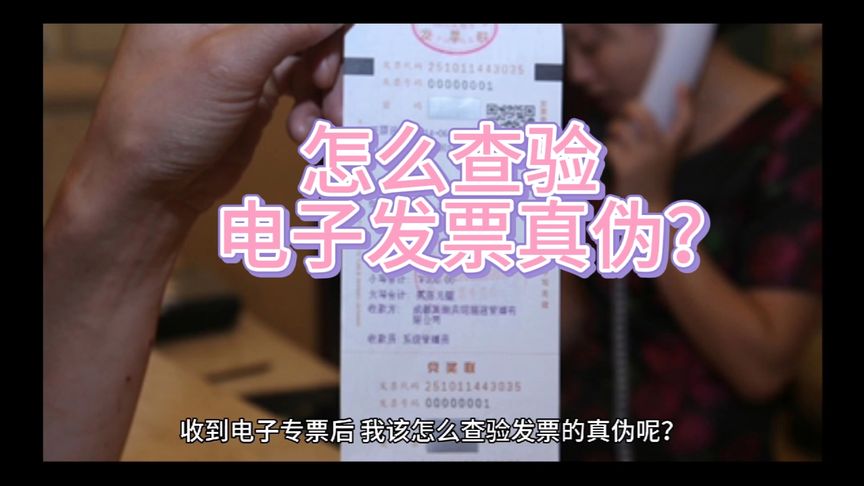 怎么查验电子发票真伪?