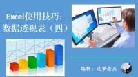让表格统计分析变得简单: 教您轻松学会运用"数据透视表"(四)(多项数据...
