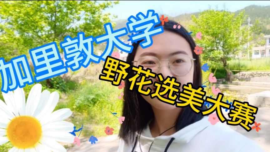 vlog会计学专业大一学生在家上网课逗狗野外漫步是不是挺惬意呢?