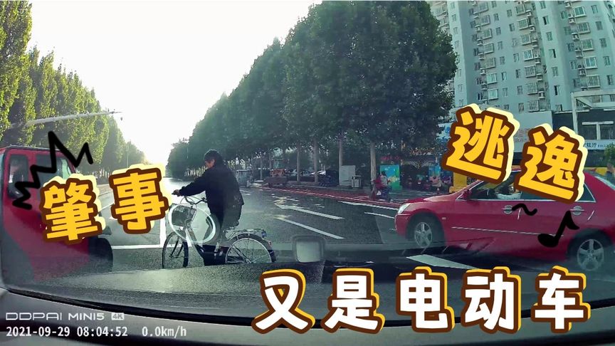 电动四轮真是城市交通一大害