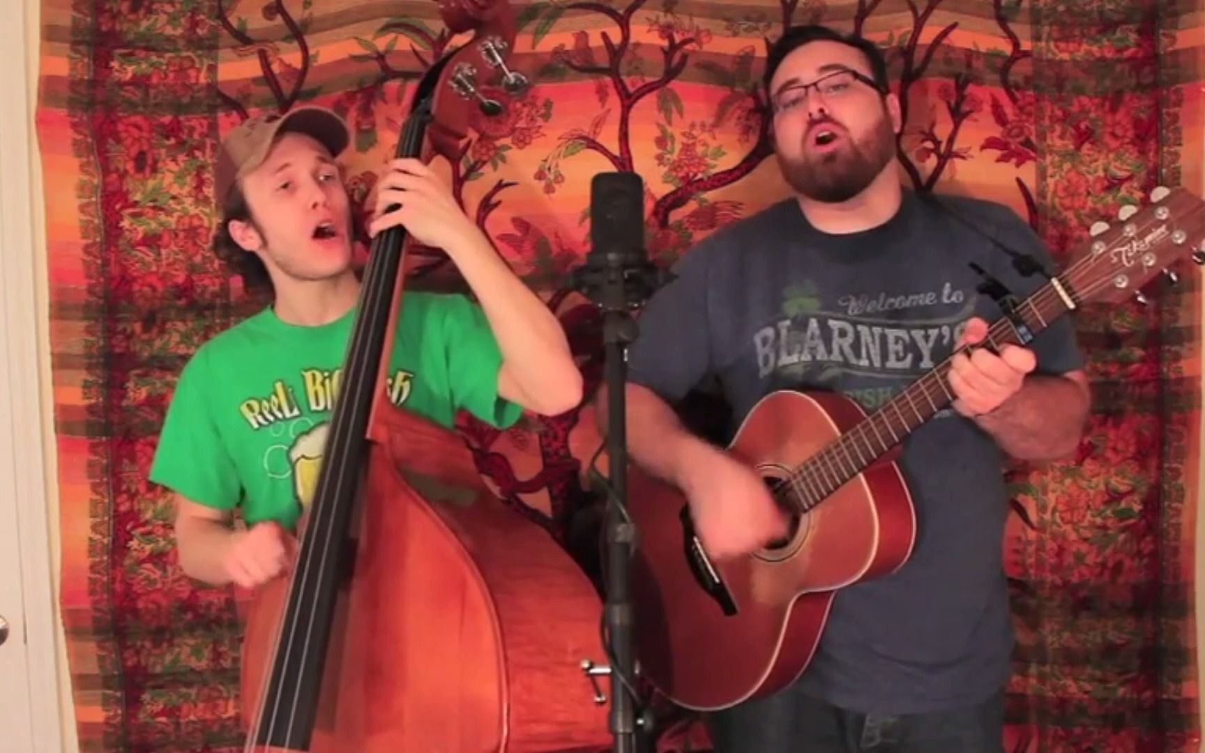 audio-technica铁三角AT4033a资深直播录音振膜电容麦克风话筒