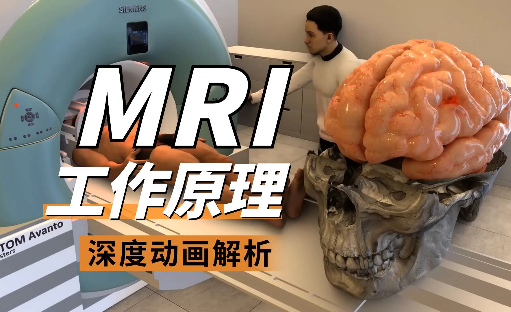 超绝动画解析!核磁共振是如何工作的