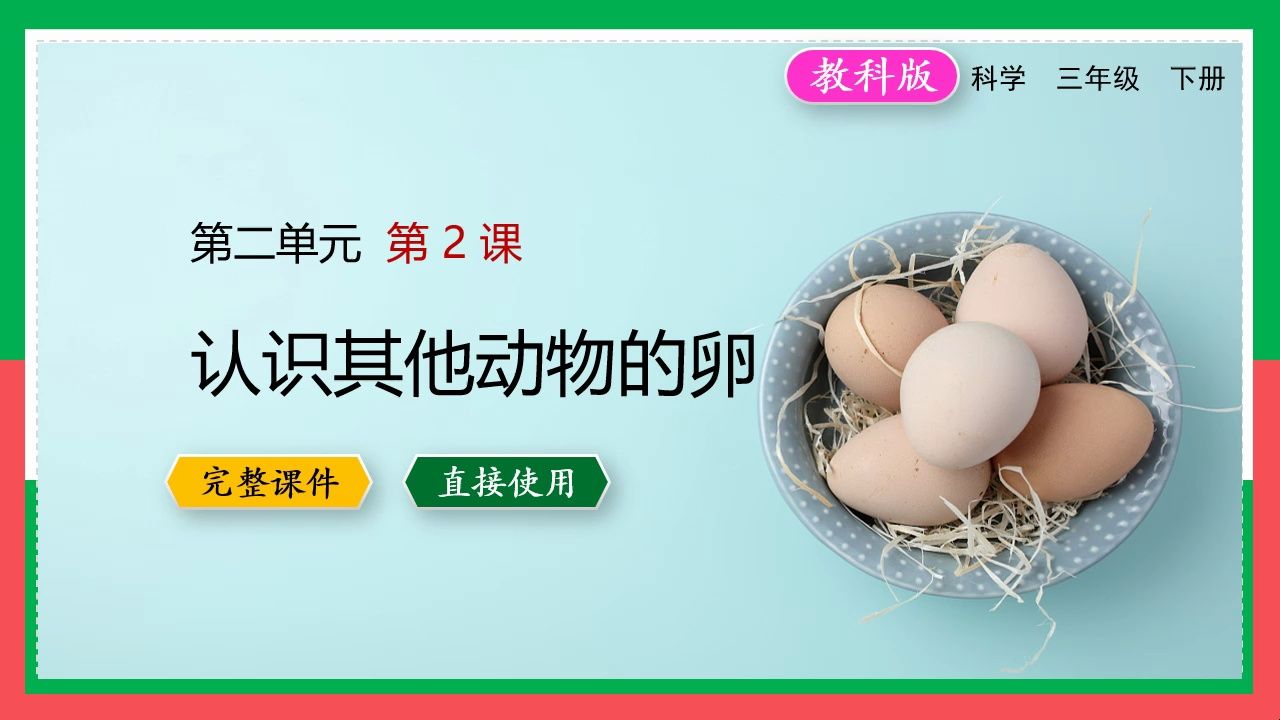 教科版科学三年级下册认识其他动物的卵PPT课件