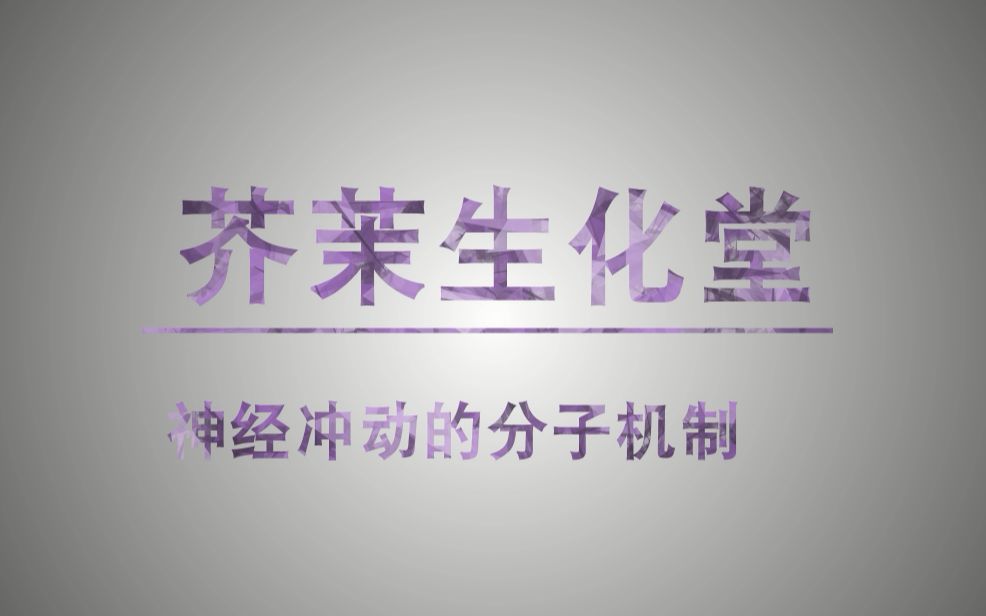 神经冲动的分子机制 | 芥末生化堂