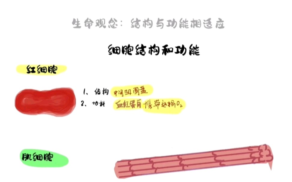 上海初中生物知识点笔记:细胞的结构和功能