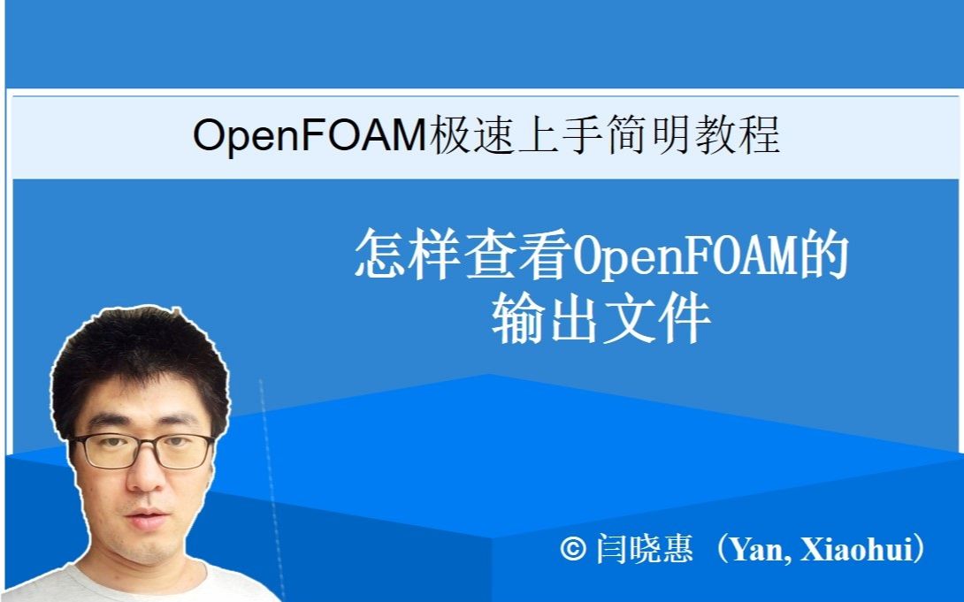 OpenFOAM#a07:怎样查看OpenFoam的输出文件 | OpenFOAM极速...