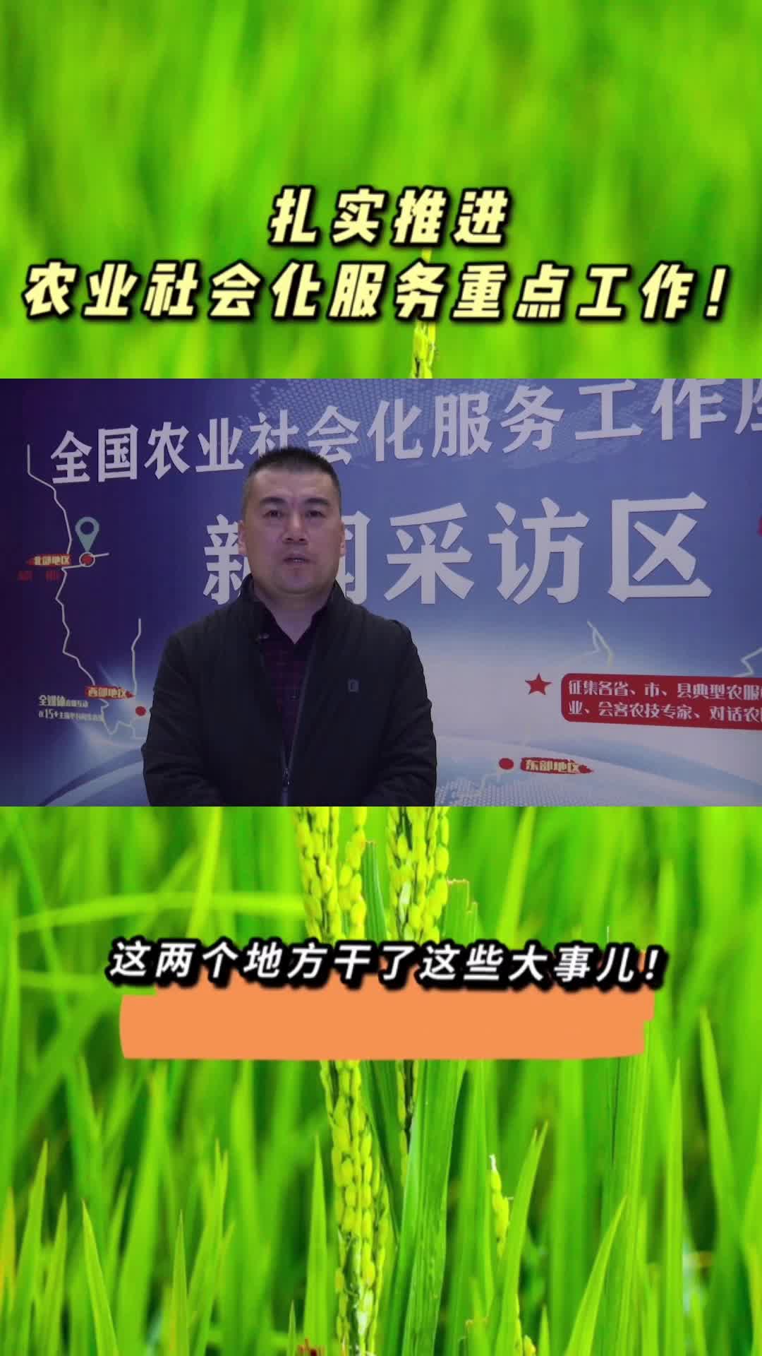 扎实推进农业社会化服务重点工作!这个地方干了这些事!