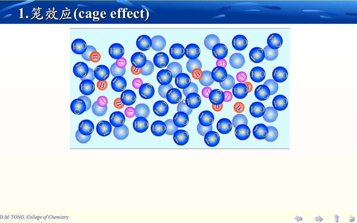 第7章 溶液中的反应-笼效应和溶剂的影响