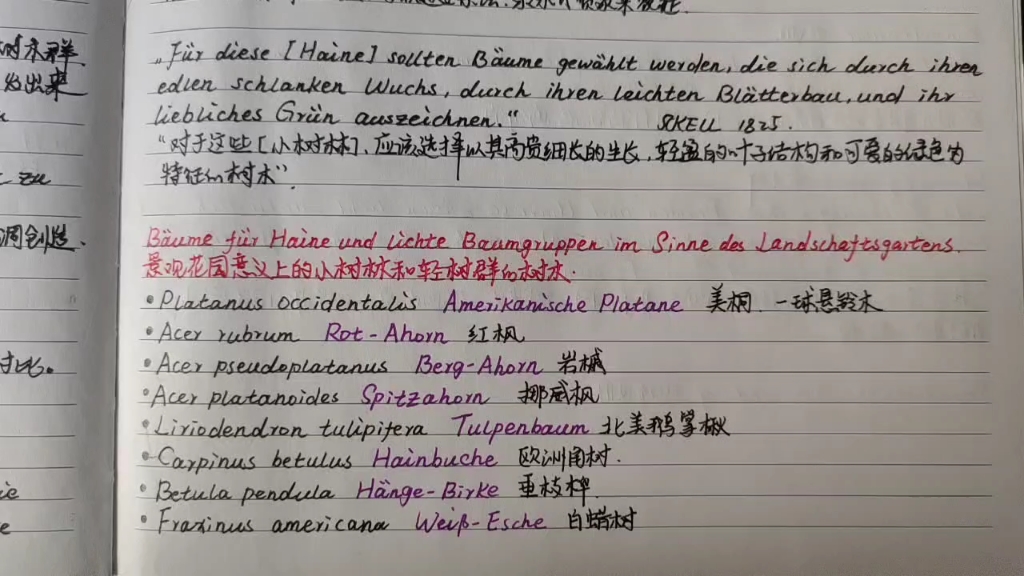...园林植物维护: 英国景观园林(下) 轻盈的乔木种类以及特定树木的象征