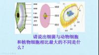 5.1细菌和病毒复习课