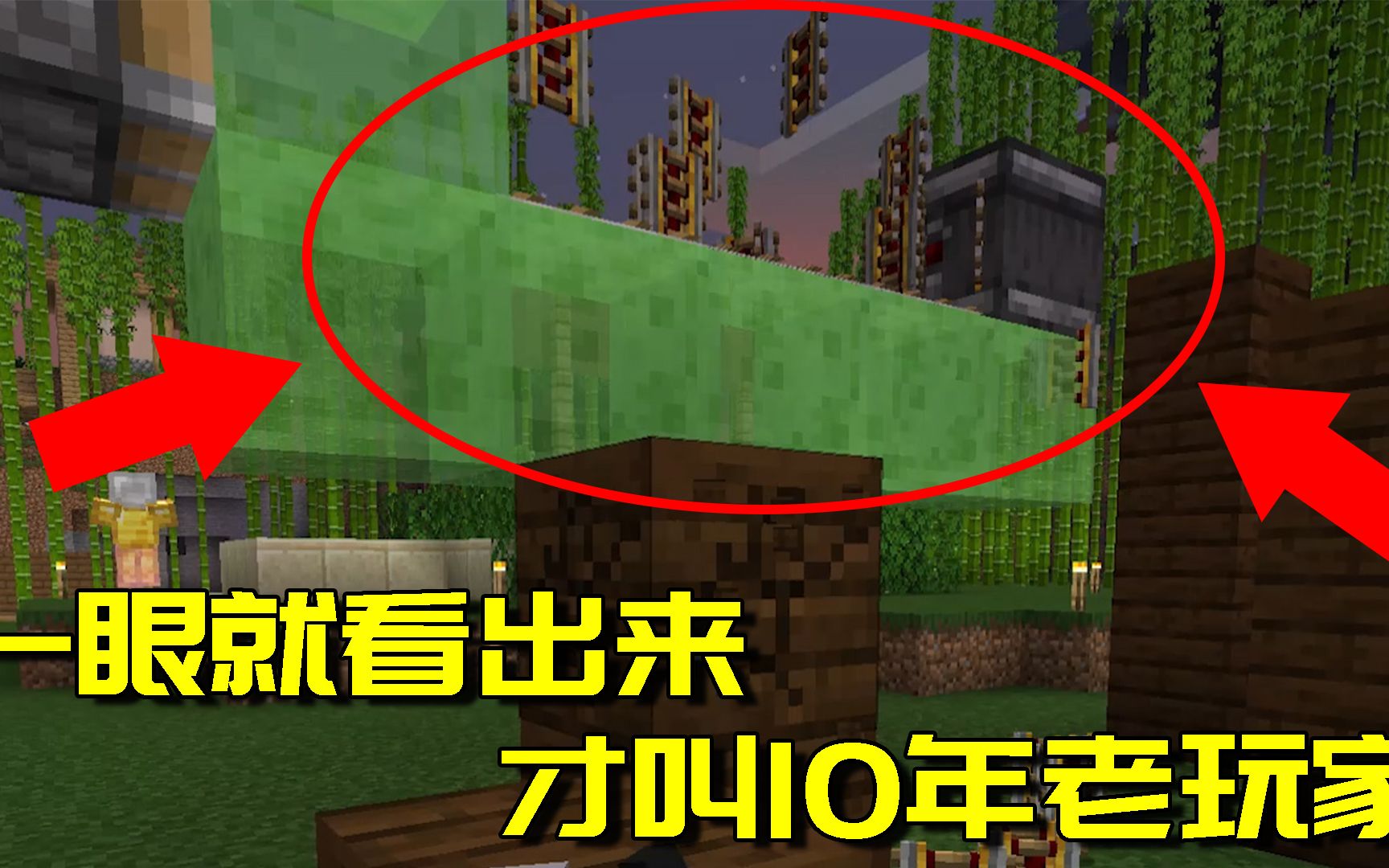 我的世界生存日记56:老玩家才看的懂!只需一眼就知道我要做什么