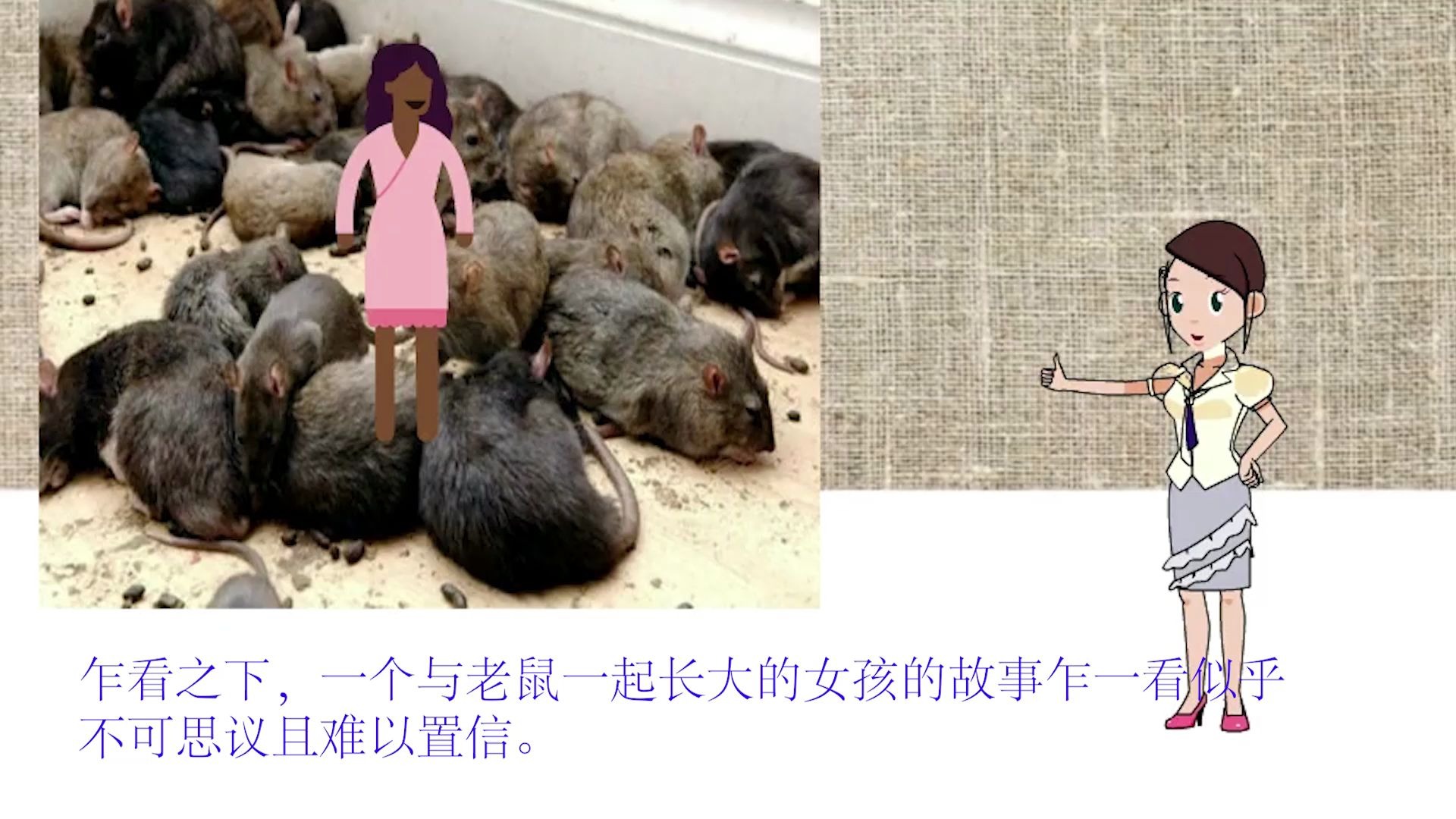 老鼠-它们是什么样的生物,一个与啮齿动物一起生活了17年的女孩的故事