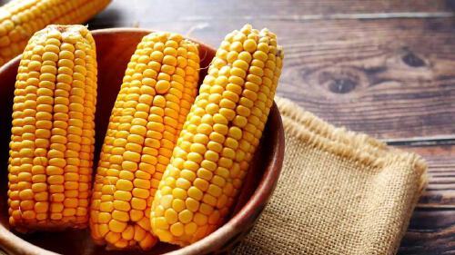 玉米这样吃,养胃稳糖抗衰老!一个视频告诉你全营养吃法