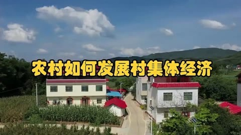 农村如何发展村集体经济:推动共同富裕的关键步骤