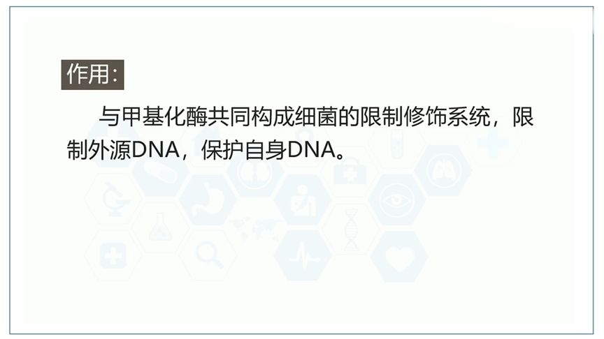 医学分子生物学: 2.3 重组DNA技术工具酶