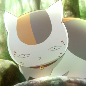 猫咪灬老师 