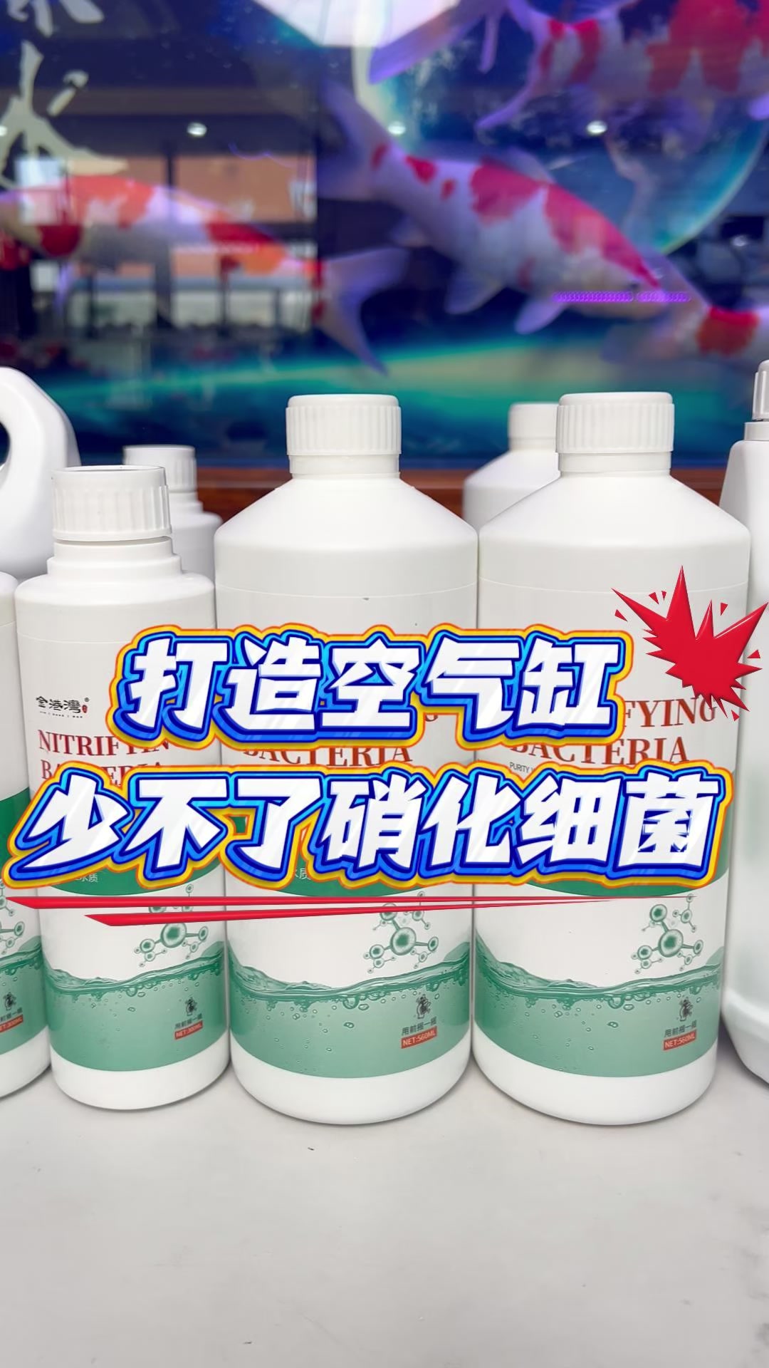 养鱼先养水:硝化细菌的秘密, 改善鱼缸水质,快速建立硝化系统。#硝化...