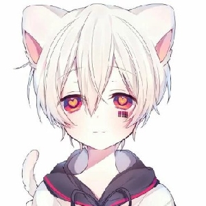 小白翻译 
