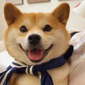 肥团影视