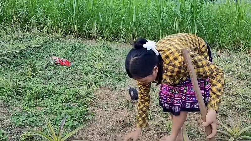 帮尼泊尔单身妈妈林丹介绍对象,她很害怕拖累人家,日子过得艰难