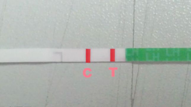 排卵试纸怎样看结果?看完视频你就明白了
