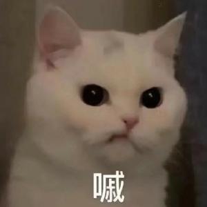 HSKー烨丘 