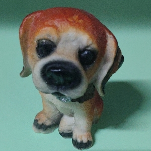 哈哈哈哈哈哈哈天使 