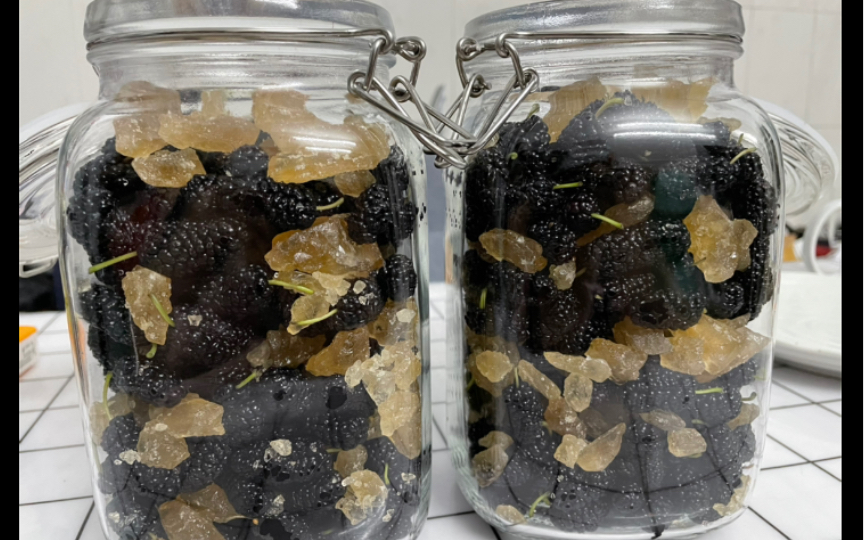 春天来了又可以泡酒了～自制桑葚酒做法