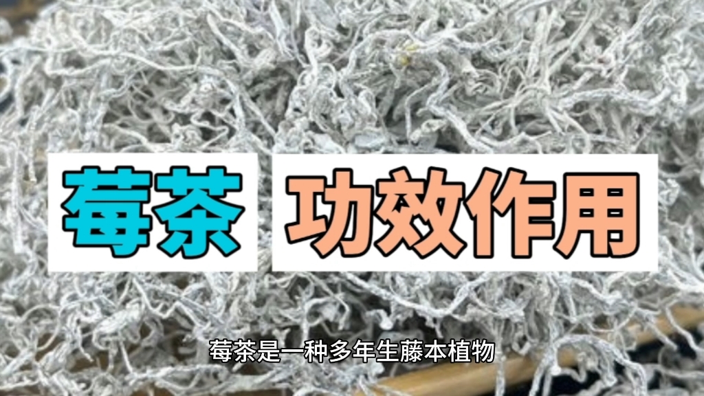 莓茶的功效作用及营养价值