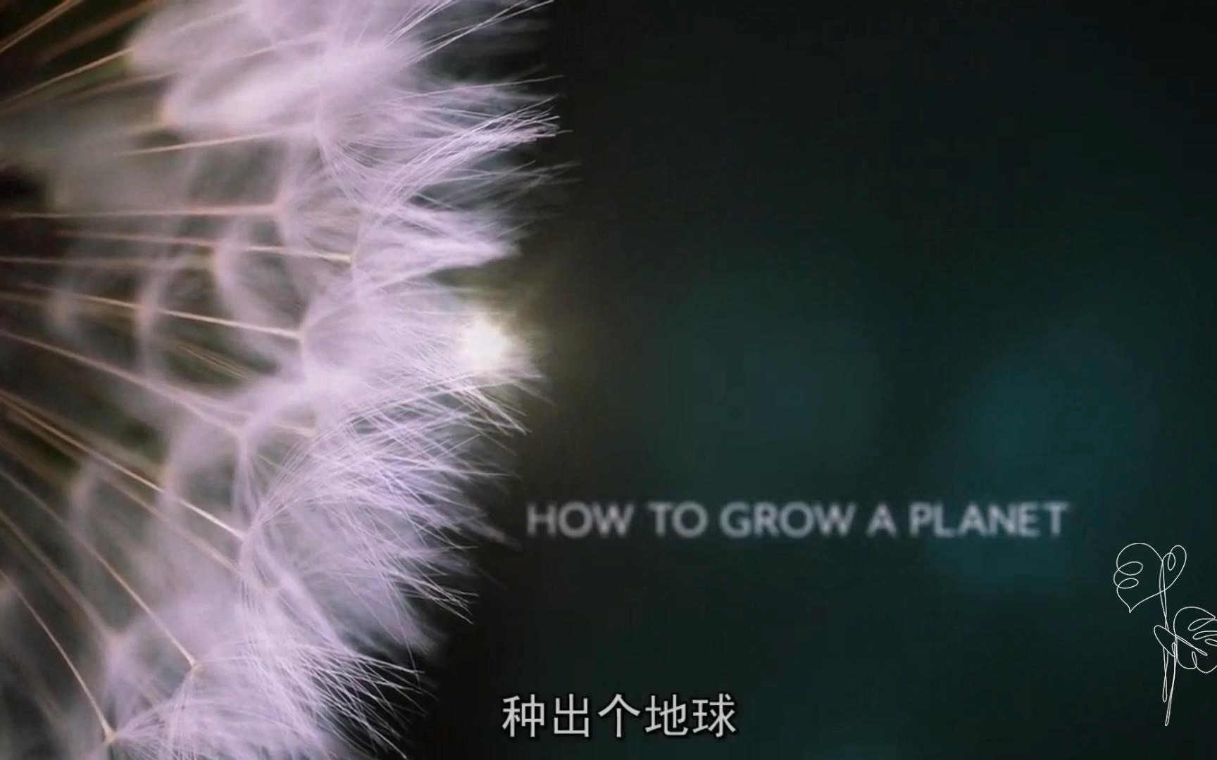 中英双字-万物生长&植物之歌How-to-grow-a- planet.720p.BD-2