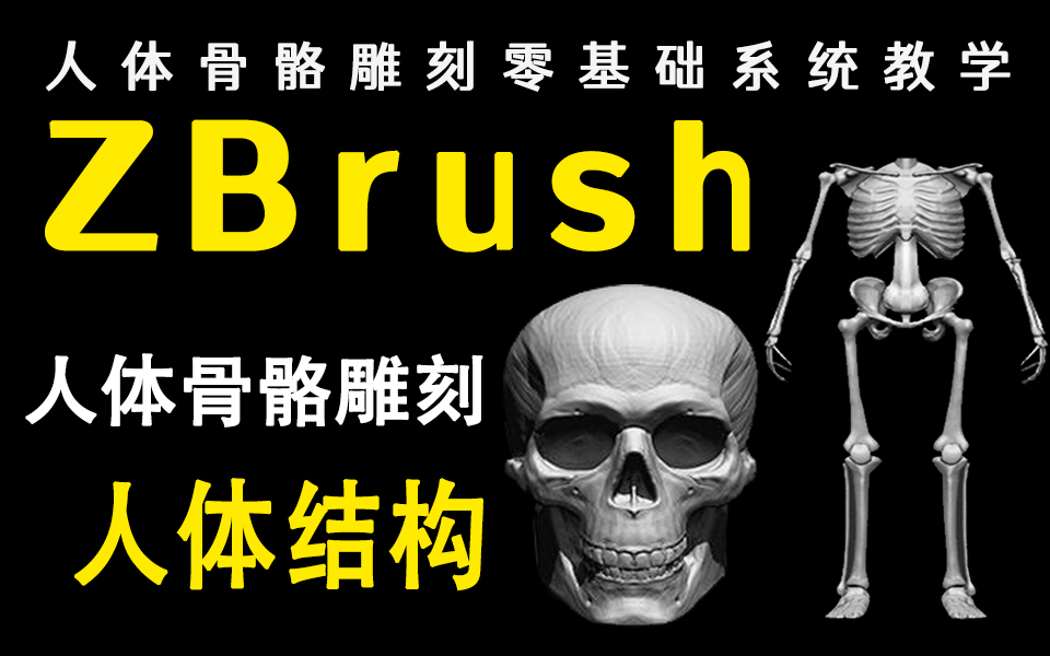 【新人入坑必学】zbrush零基础人体骨骼结构雕刻系统教学,萌新如何...