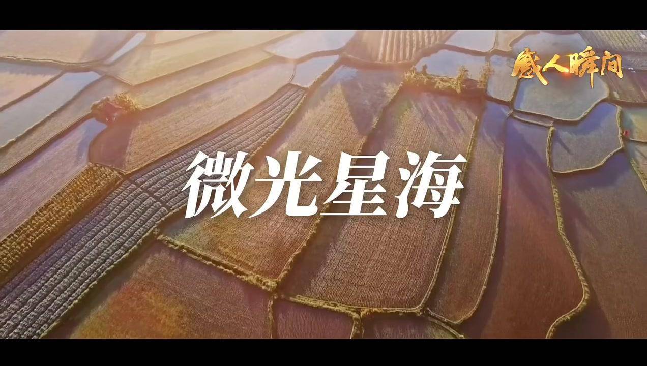 时代楷模影视作品展--微光星海