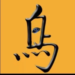 鸟览视解 
