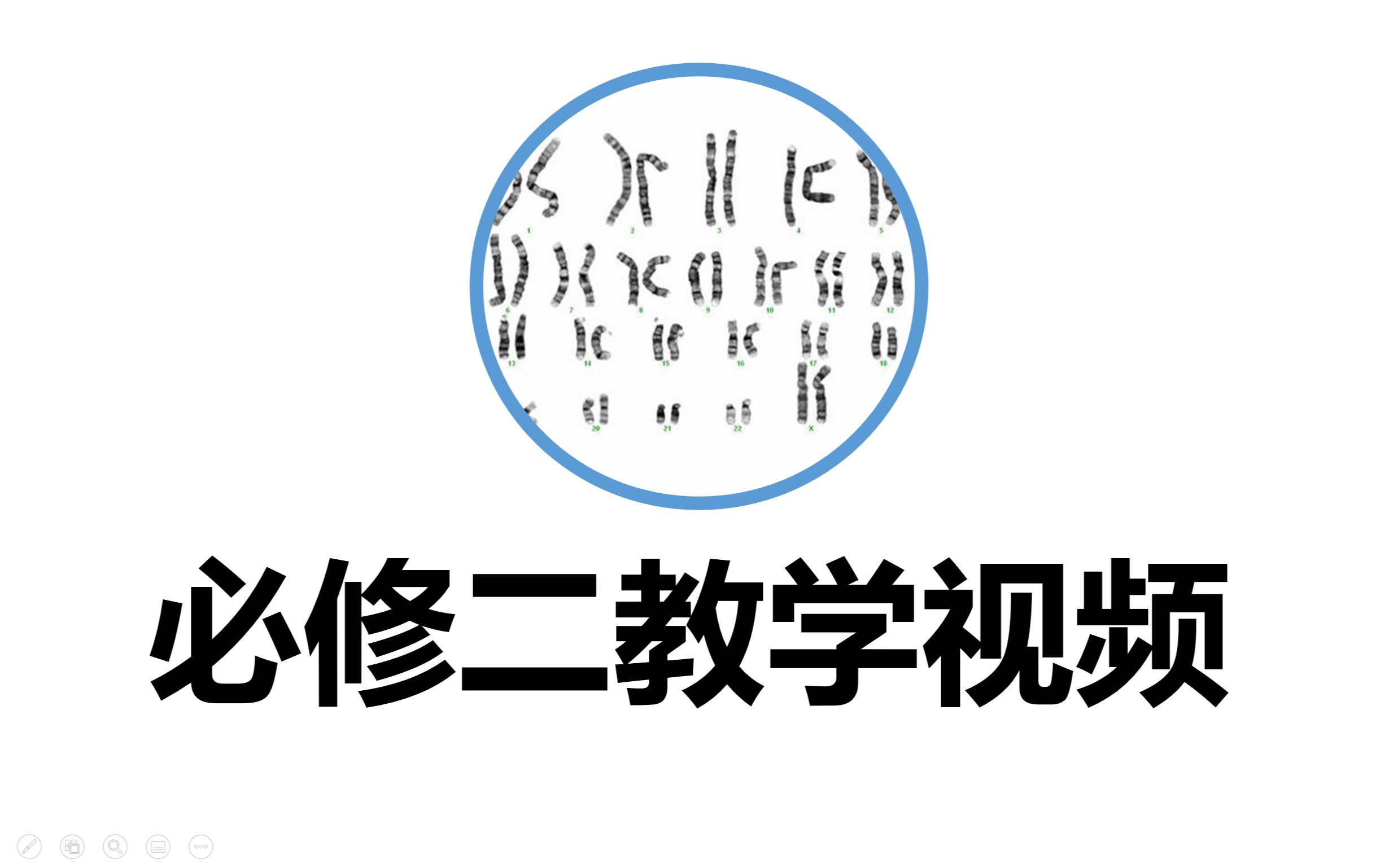 【高中生物】必修2教学视频