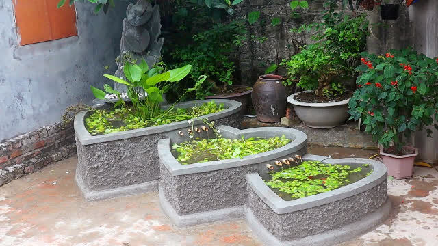 院子里制作漂亮的鱼缸,邻居看见了很羡慕,几乎每天都来欣赏