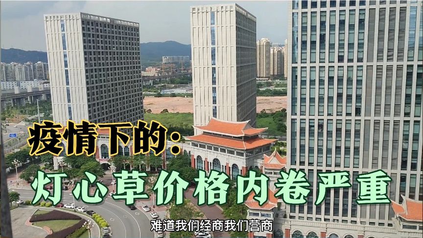 中药材价格内卷严重,灯心草厂商有负利投标,没利润哪来服务?